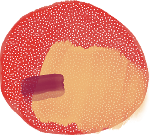 Design by Reese | Ecommerce Website Conversion Expert - Design by Reese